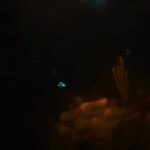 Bioluminescent Night Snorkeling - Meeting Point & Logistics