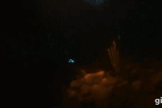 Bioluminescent Night Snorkeling - Meeting Point & Logistics