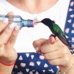 Bird Watcher's Paradise at Rockland Bird Sanctuary - What to Expect During Your Visit