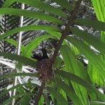 Bird Watching Tours - The Itinerary Breakdown: What to Expect