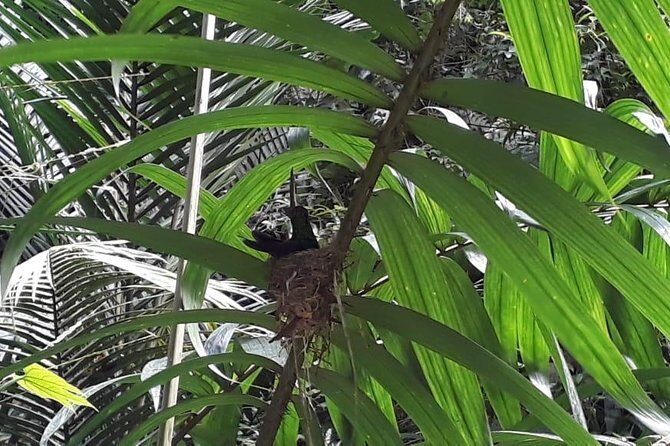 Bird Watching Tours - The Itinerary Breakdown: What to Expect