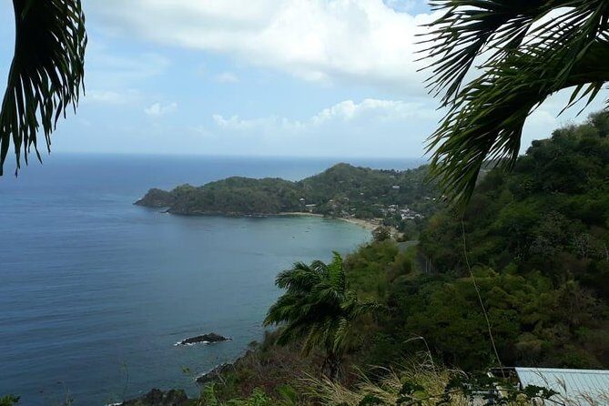 Birdwatching, Waterfall, Rainforest and Island Nature Tours - Authentic Experiences and Genuine Reviews