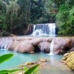 Black River Safari and Ys Falls Tour and Transportation - Authentic Experiences and Authenticity