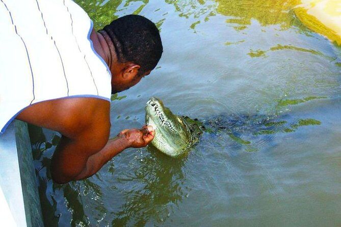 Black River Safari with Transport from Montego Bay - The Sum Up