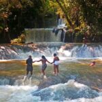 Black River Safari * YS Falls * Appleton Rum Tour - What Travelers Are Saying