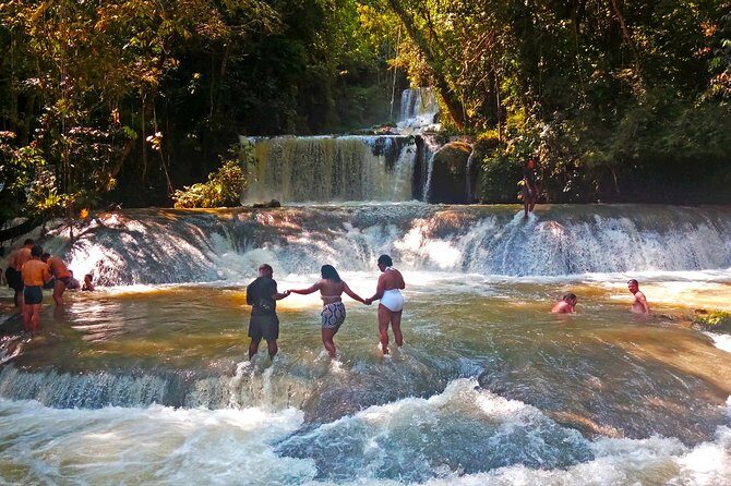 Black River Safari * YS Falls * Appleton Rum Tour - What Travelers Are Saying