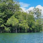 Black River Safari YS Falls Lunch Classic Combo From Negril - Who This Tour Is Best For