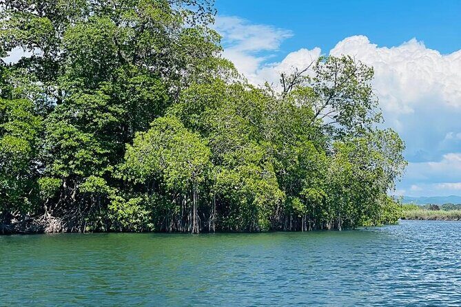 Black River Safari YS Falls Lunch Classic Combo From Negril - Who This Tour Is Best For