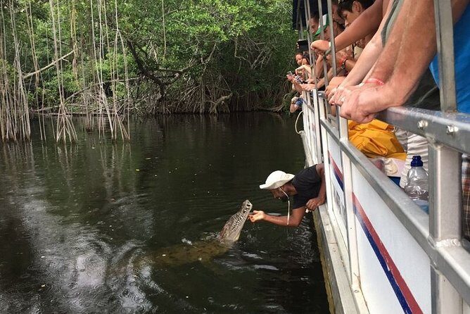Black River Safari/YS Falls plus Floyd's Pelican Bar Private Tour - Practical Details and What You Can Expect