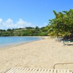 Blissful Wellness Beach Day with Therapeutic Thai Yoga Massage - Who Will Love This