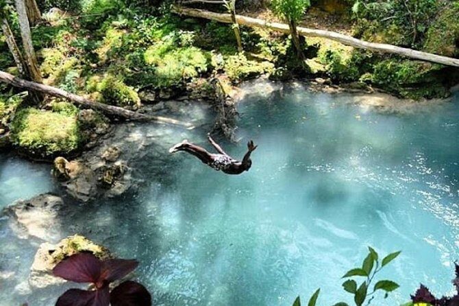 Blue Hole and River Gully Rainforest Adventure Tour from Montego Bay - What Makes This Tour Stand Out?