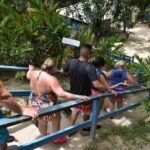 Blue Hole and Secret Falls Day Trip plus Shopping from Falmouth - The Experience from a Traveler’s Perspective