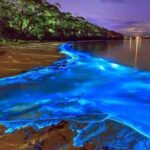 Blue Hole and Secret Falls with Luminous Lagoon(Glistening Waters) Private Tour - What Makes This Tour Stand Out?