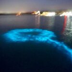 Blue Hole Island Gully and Glistening Water Lagoons night Tour - Who Is This Tour Best For?