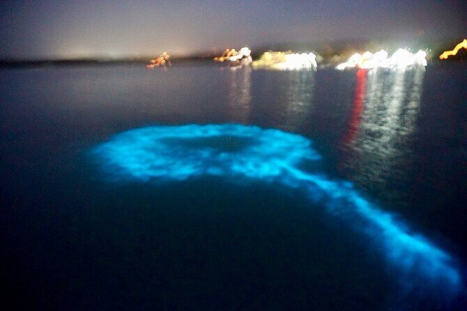 Blue Hole Island Gully and Glistening Water Lagoons night Tour - Who Is This Tour Best For?