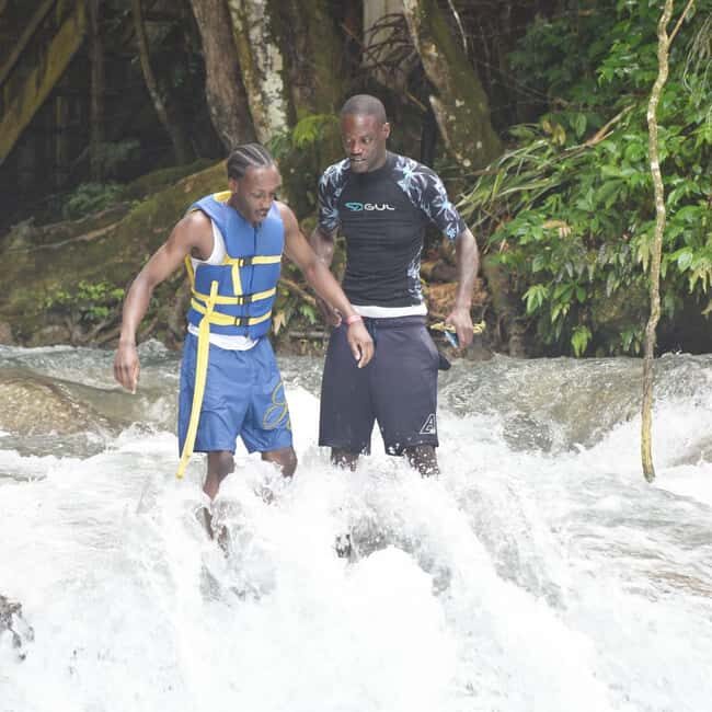 Blue Hole Secret Falls and Bob Marley Nine Mile Private Tour - Transportation, Timing, and Value
