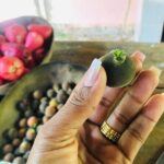 Blue Lagoon & Laguna el dudu from puerto plata - Who Should Consider This Tour?