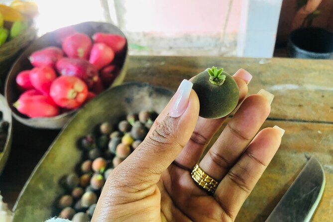 Blue Lagoon & Laguna el dudu from puerto plata - Who Should Consider This Tour?