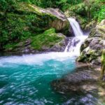 Blue Mountain Bicycle Tour - The Value of the Experience