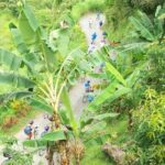 Blue Mountain Bicycle Tour Experience - How the Day Unfolds