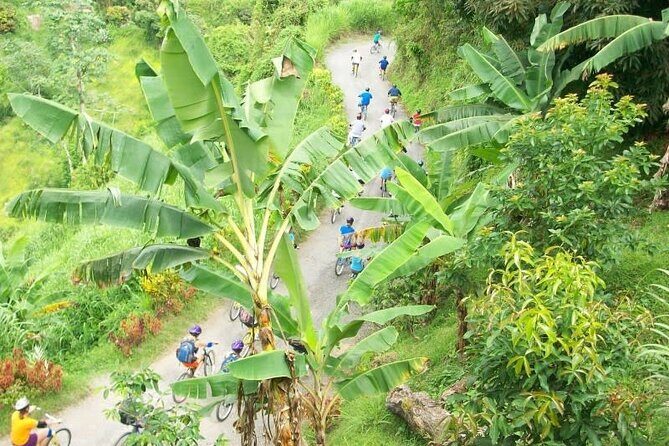 Blue Mountain Bicycle Tour Experience - How the Day Unfolds