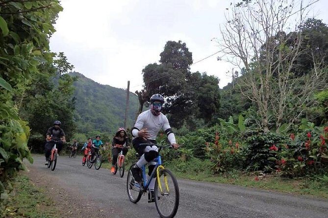 Blue Mountain Bicycle Tour from Montego Bay - The Practical Details: What You Need to Know