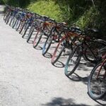 Blue Mountain Bicycle Tour from Runaway Bay - The Group Experience and Guides