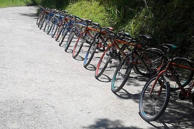 Blue Mountain Bicycle Tour from Runaway Bay - The Group Experience and Guides