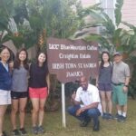 Blue Mountain Coffee Tour from Ocho Rios - Discovering the Blue Mountains: What to Expect