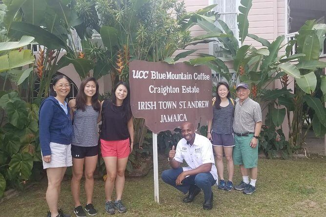 Blue Mountain Coffee Tour from Ocho Rios - Discovering the Blue Mountains: What to Expect