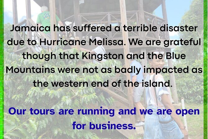 Blue Mountain Path Finder - What You Can Expect: A Detailed Breakdown