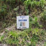 Blue Mountain Sight-Seeing & Nature Trail Hike with Private Guide - What Travelers Are Saying: Authentic Perspectives