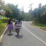 Blue Mountains Coffee Private Tour from Kingston - What Travelers Say