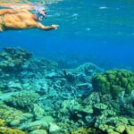 Blue Parrot Snorkel Sail with 4 course lunch or dinner in Aruba - Who Will Love This Tour?