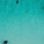 Bluefinn242 Swim with the Turtles in Nassau Bahamas - The Boat Ride and Travel Logistics