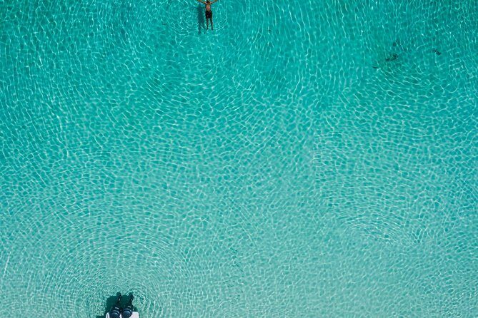 Bluefinn242 Swim with the Turtles in Nassau Bahamas - The Boat Ride and Travel Logistics