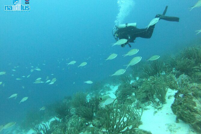 Boat Dive Shipwreck/ Airplanes/ Reef /2 tanks - Who Will Love This Tour?