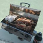 Boat Tour , Catch & Cook | Creative Eco Adventures - Why Choose This Tour?
