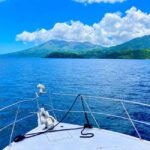 Boat Tour to the West Coast of St Vincent - Detailed Breakdown of the Experience
