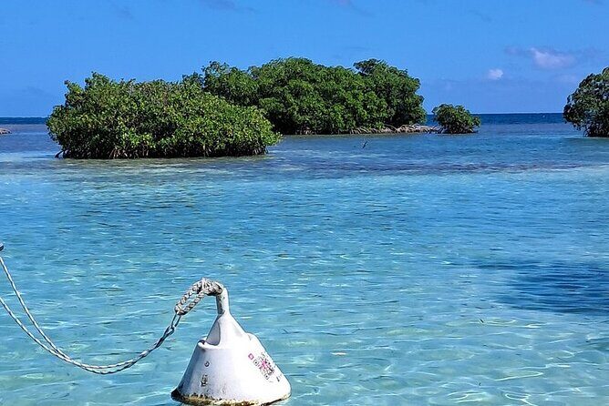 Boat trip EN 1/2 Day in the Grand Ass DE Sac Marin - Final Thoughts