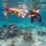 Boat Trip for Snorkeling Discovery of Corals - A Closer Look at the Snorkeling Tour