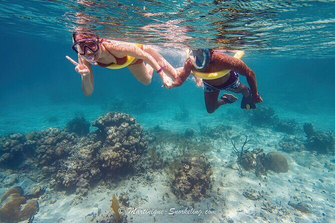 Boat Trip for Snorkeling Discovery of Corals - A Closer Look at the Snorkeling Tour