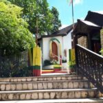 Bob Marley Birth Place Private Tour - The Experience in Detail: What Makes It Special