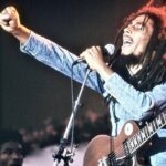 Bob Marley Culture and Dunn's River Falls Experience Montego Bay - Dunn’s River Falls and Park: A Natural Icon