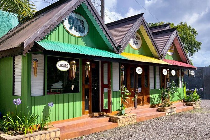 Bob Marley Nine Mile Admission and Guided Tour from Ocho Rios - What to Expect and What Not to Expect