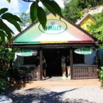 Bob Marley Nine Mile - Dunn's River Falls and Columbus Park Day Adventure - The Bottom Line: Who Will Love This Tour?