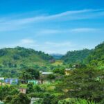 Bob Marley's Nine Mile Admission Guided Tour St. Ann Ocho Rios - What’s Included and What’s Not