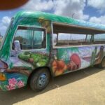 Bonaire 2 hour Island Tour & 2 hour Beach Stay - An Overview of the Tour Experience