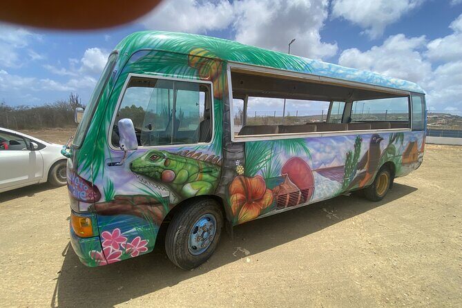 Bonaire 2 hour Island Tour & 2 hour Beach Stay - An Overview of the Tour Experience