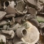 Bonaire Beachcombing and Sea Glass Private Tour - Who Should Consider This Tour?